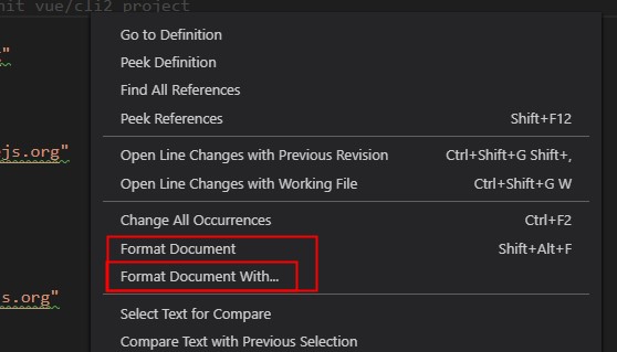Make Your Own Vue Project Template - Formatter Part | Hey , you